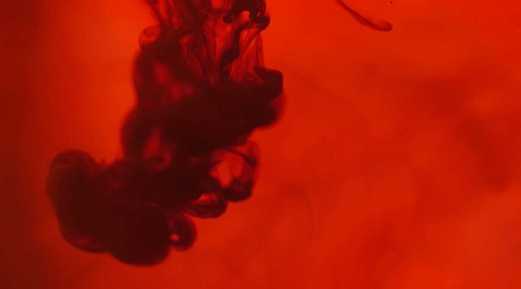 Combined Sound FX Bundle 2500+ | Ultimate Collection of Premium Sound ...